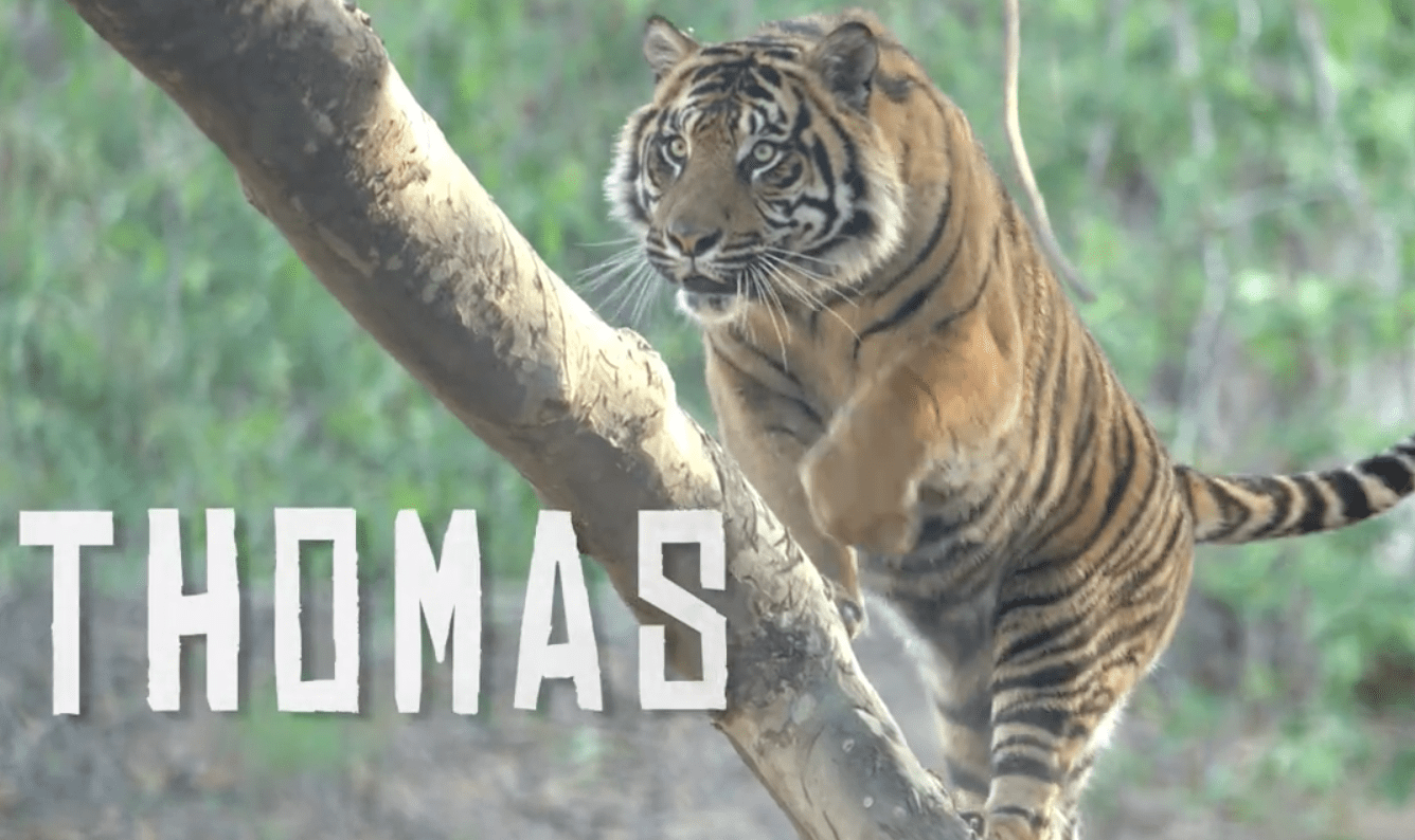 1st Grade – Jackson Elementary Library